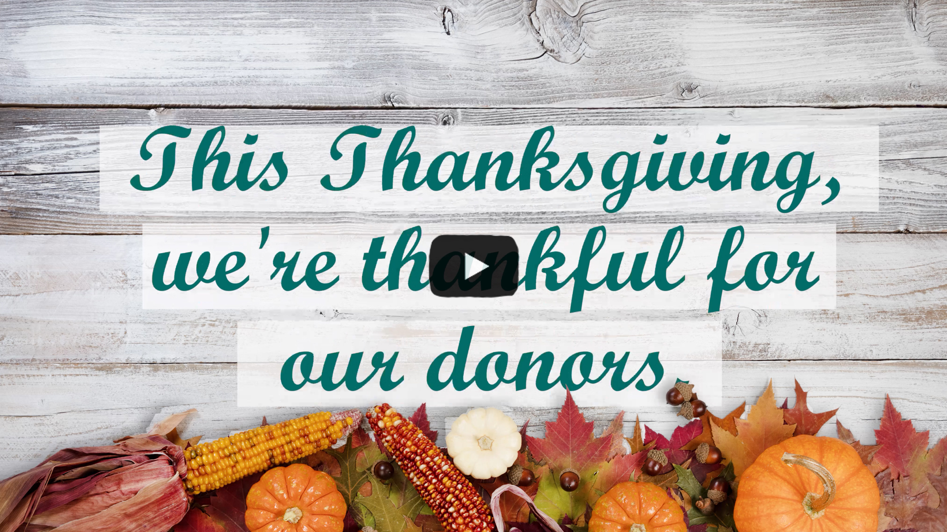 Happy Thanksgiving | Medical College of Virginia Foundation